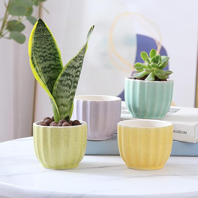 Small Ceramic Planters