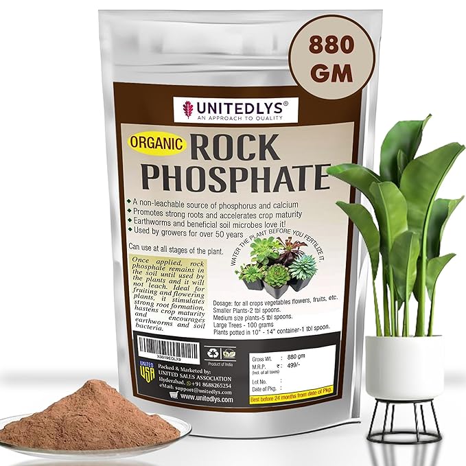 Phosphorus Fertilizers