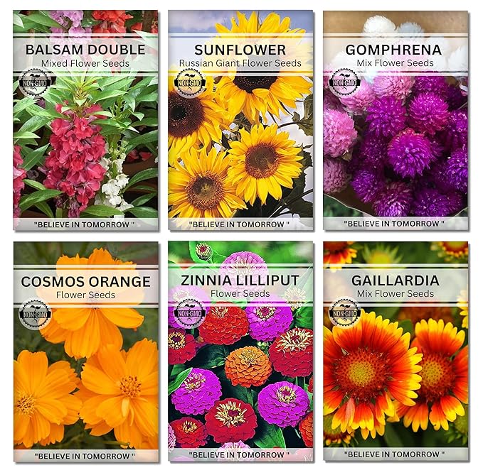 6 Packet Summer Flower Seeds - Gardeningera