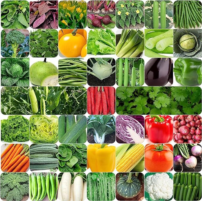 45 Varieties of Vegetable Seeds - Gardeningera